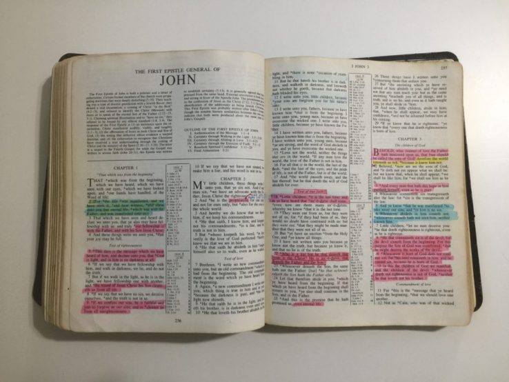 You Have the Words of Life Introduction | Online Bible Institute
